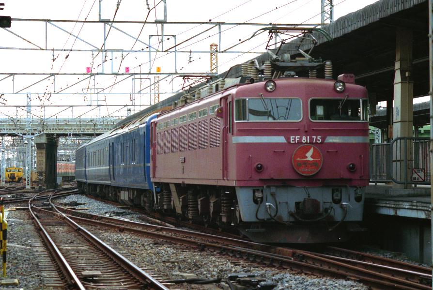 EF81