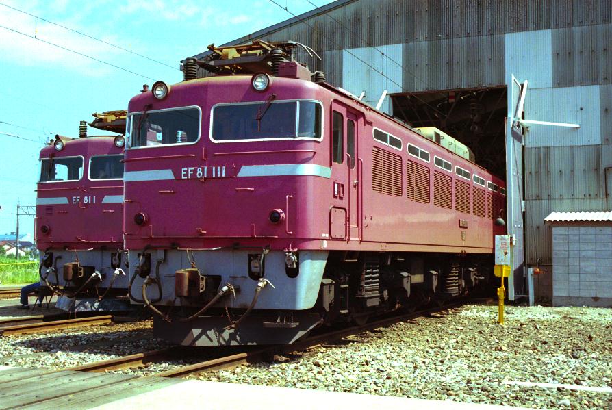 EF81